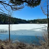 Spooner Lake Trail, Nevada - 1,710 Reviews, Map | AllTrails