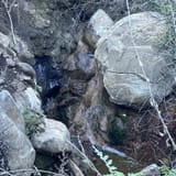 Towsley Canyon Loop Trail, California - 3,785 Reviews, Map | AllTrails