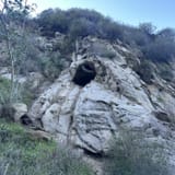 Towsley Canyon Loop Trail, California - 3,785 Reviews, Map | AllTrails