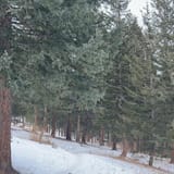 Genesee Mountain Trail Outer Loop, Colorado - 1,389 Reviews, Map ...