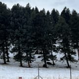 Genesee Mountain Trail Outer Loop, Colorado - 1,389 Reviews, Map ...