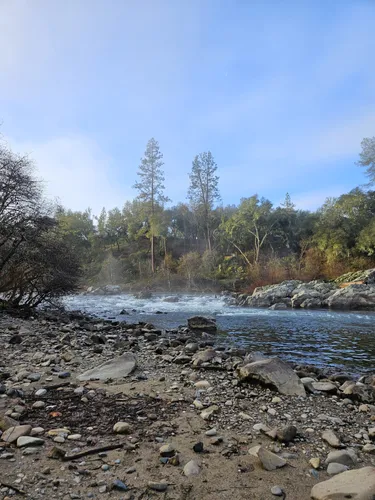 Best Walking Trails in American River Parkway | AllTrails