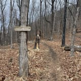Tinker Cliffs via Andy Layne Trail, Virginia - 1,550 Reviews, Map ...