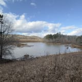Bridge Loop Trail and Lake Loop Trail, Georgia - 840 Reviews, Map ...