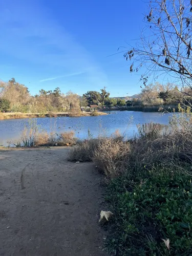 Best Hikes and Trails in Kit Carson Park | AllTrails