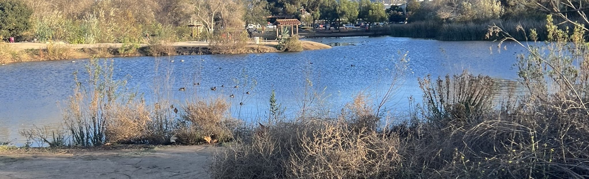 Kit Carson Park, California - 631 Reviews, Map | AllTrails