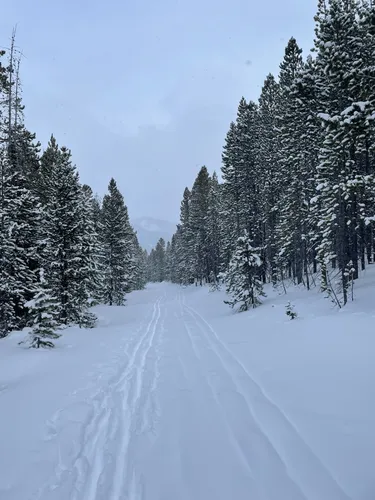 Best Hikes and Trails in Snow Mountain Ranch | AllTrails