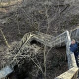 Cave Spring Loop Trail, Missouri - 373 Reviews, Map | AllTrails