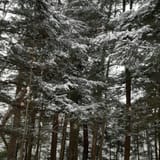 Komoka Provincial Park Loop, Ontario, Canada - 208 Reviews, Map | AllTrails