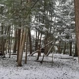Komoka Provincial Park Loop, Ontario, Canada - 208 Reviews, Map | AllTrails