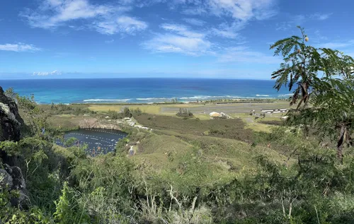 Best Hikes and Trails in Mokuleia Forest Reserve | AllTrails