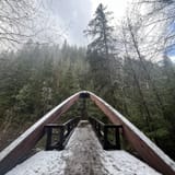 Middle Fork Snoqualmie River Trail, Washington - 989 Reviews, Map ...