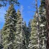 Cascade Falls Trail, California - 3,791 Reviews, Map | AllTrails