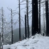 Angels Rest to Devil's Rest Loop Trail, Oregon - 1,233 Reviews, Map ...