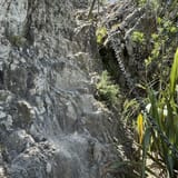 Paritutu Rock Trail, Taranaki, New Zealand - 137 Reviews, Map | AllTrails