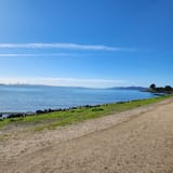 Albany Bulb, California - 393 Reviews, Map | AllTrails