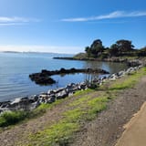 Albany Bulb, California - 393 Reviews, Map | AllTrails