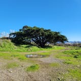 Albany Bulb, California - 393 Reviews, Map | AllTrails