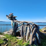 Albany Bulb, California - 393 Reviews, Map | AllTrails