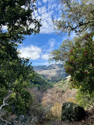 10 Best Hikes and Trails in Sunol Wilderness Regional Preserve | AllTrails
