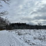 Knox Farm Trail, New York - 811 Reviews, Map | AllTrails