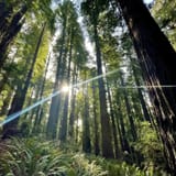 Berry Glen and Lady Bird Grove Trail , California - 390 Reviews, Map ...