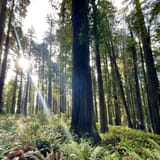 Berry Glen and Lady Bird Grove Trail , California - 390 Reviews, Map ...