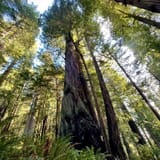 Berry Glen and Lady Bird Grove Trail , California - 390 Reviews, Map ...