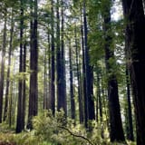 Berry Glen and Lady Bird Grove Trail , California - 390 Reviews, Map ...