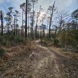 Sam Houston Jones State Park Loop, Louisiana - 51 Reviews, Map | AllTrails