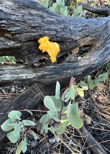 Best Hikes and Trails in Weimar University | AllTrails