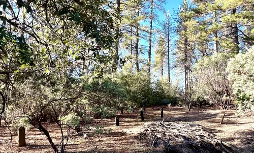 Best Hikes and Trails in Weimar University | AllTrails