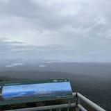 Genoa Peak Walk, Victoria, Australia - 124 Reviews, Map | AllTrails