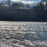 Lake Pine Loop, North Carolina - 953 Reviews, Map | AllTrails