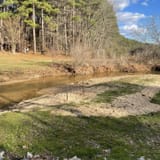 Lake Pine Loop, North Carolina - 1,207 Reviews, Map | AllTrails