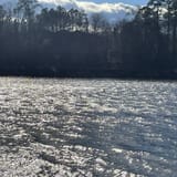 Lake Pine Loop, North Carolina - 988 Reviews, Map | AllTrails