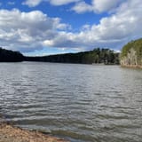 Lake Pine Loop, North Carolina - 1,207 Reviews, Map | AllTrails