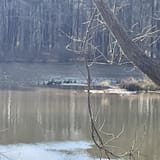 Lake Pine Loop, North Carolina - 1,207 Reviews, Map | AllTrails