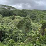 Kuilau Ridge Trail, Kaua'i, Hawaii - 2,167 Reviews, Map | AllTrails