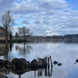 Foster Island Trail, Washington - 719 Reviews, Map | AllTrails