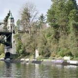 Foster Island Trail, Washington - 589 Reviews, Map | AllTrails