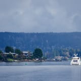 Foster Island Trail, Washington - 589 Reviews, Map | AllTrails