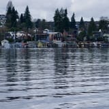Foster Island Trail, Washington - 595 Reviews, Map | AllTrails