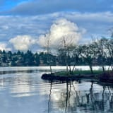 Foster Island Trail, Washington - 719 Reviews, Map | AllTrails