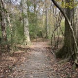 Moon Seed Loop, Louisiana - 378 Reviews, Map | AllTrails