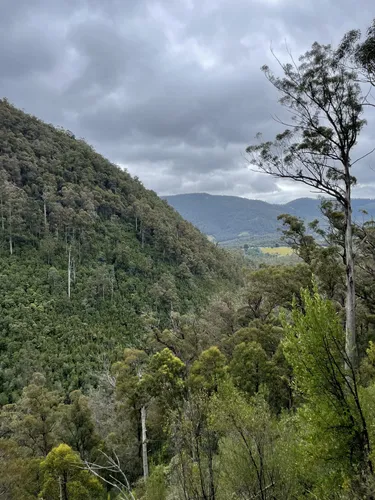 Best Hikes and Trails in Snug Tiers Nature Recreation Area | AllTrails