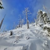 Mount Rose Trail, Washington - 1,431 Reviews, Map | AllTrails