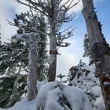 Mount Rose Trail, Washington - 1,431 Reviews, Map | AllTrails