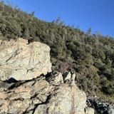 Olmstead Loop and Wendell Robie Trail, California - 2,926 Reviews, Map ...