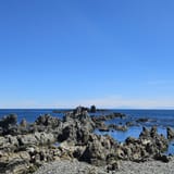 Red Rocks Coastal Walk, Wellington, New Zealand - 136 Reviews, Map ...